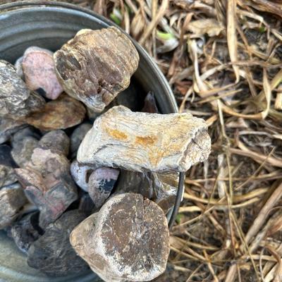 GALVANIZED BUCKET FULL OF UNIQUE ROCKS | EstateSales.org