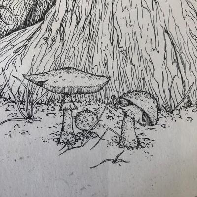 LOT 391Z: Signed & Numbered Steve Leonardi Racoon Art Print LE 771/1000 ...