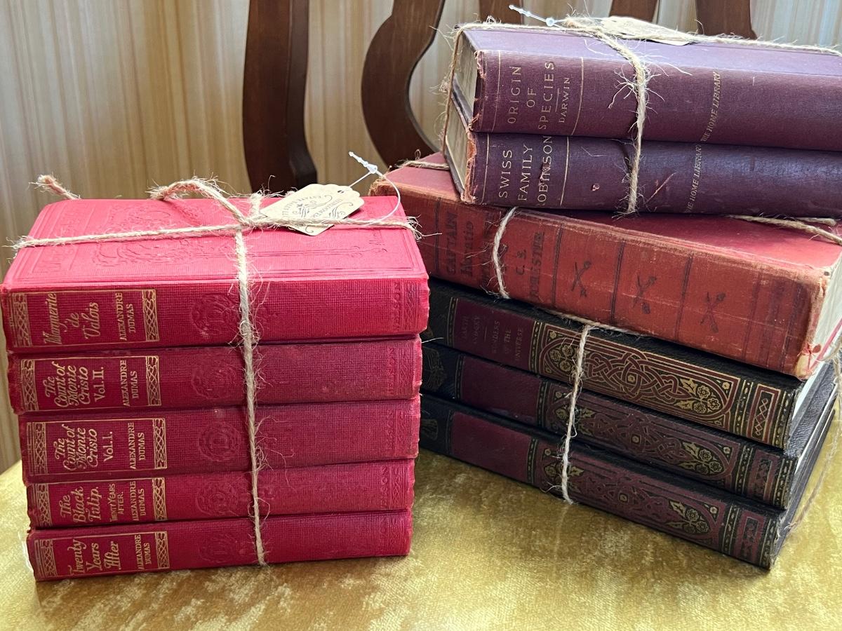 Alexandre Dumas, Darwin, Misc Book Lot | EstateSales.org