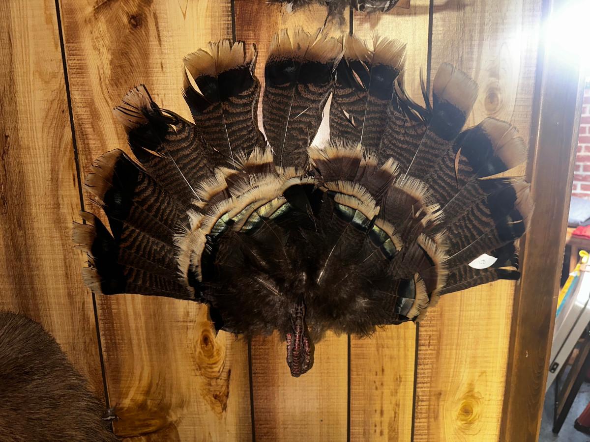 Turkey taxidermy | EstateSales.org