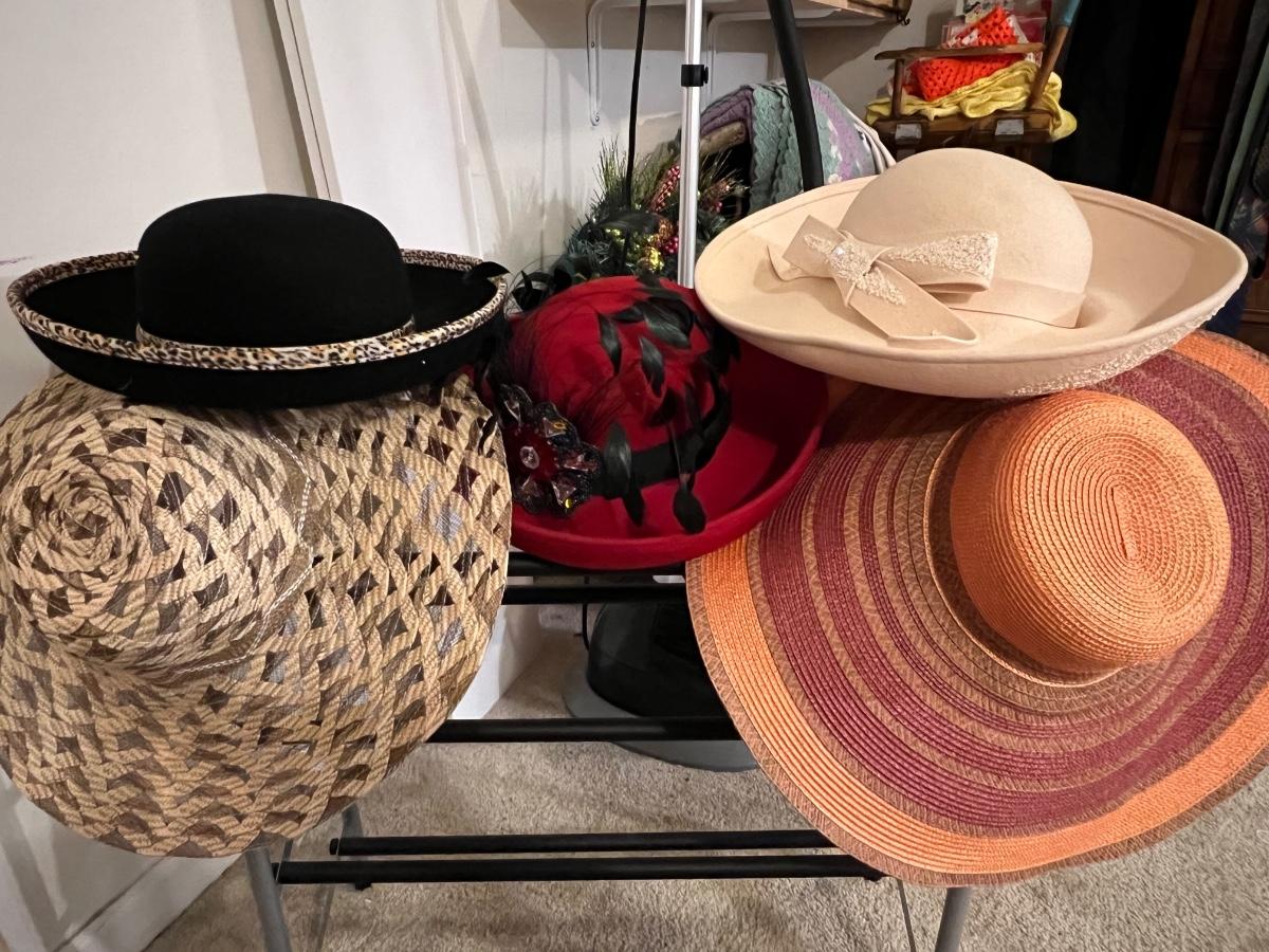 Hats Lot | EstateSales.org