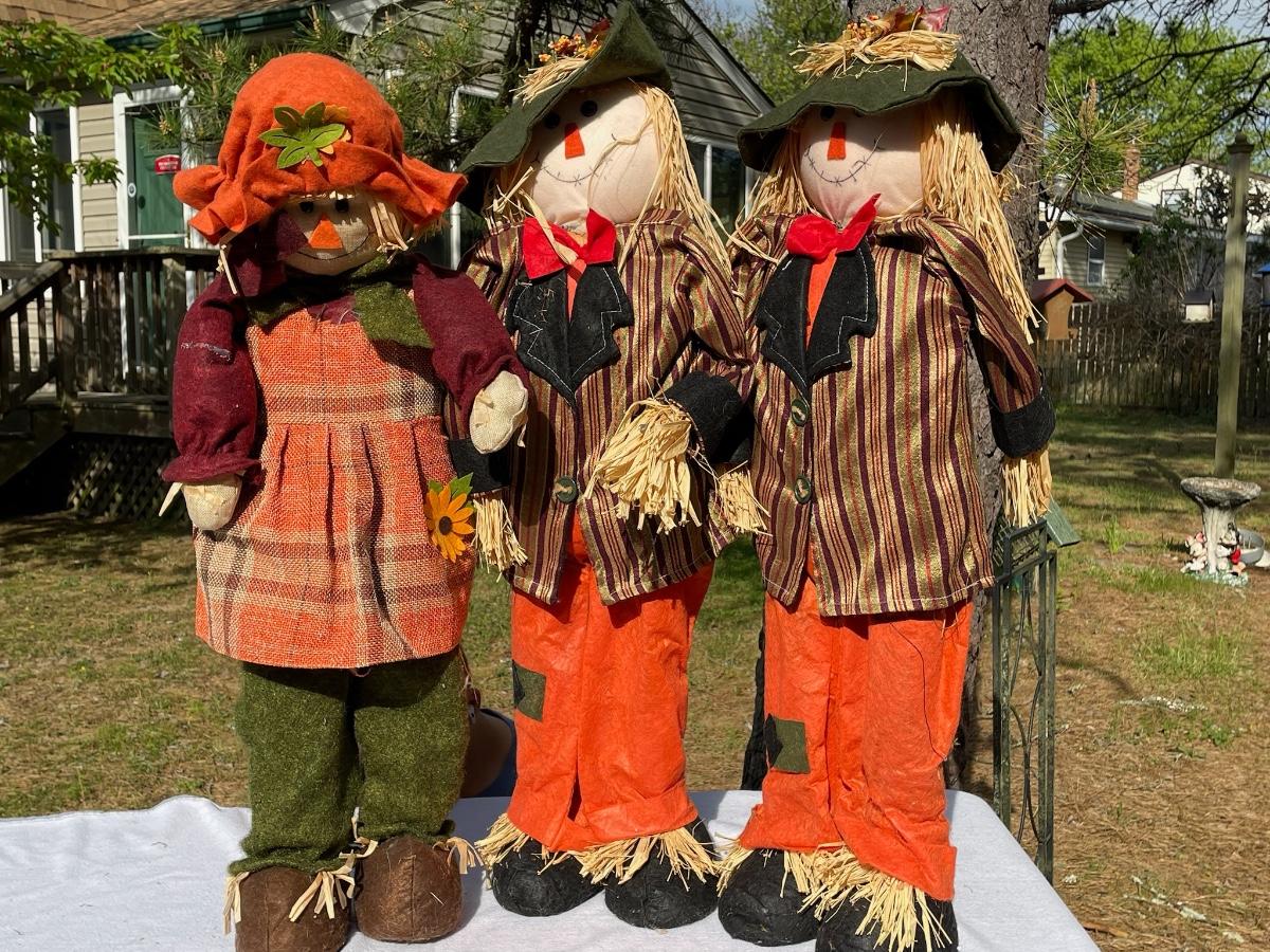 Scarecrows Lot | EstateSales.org