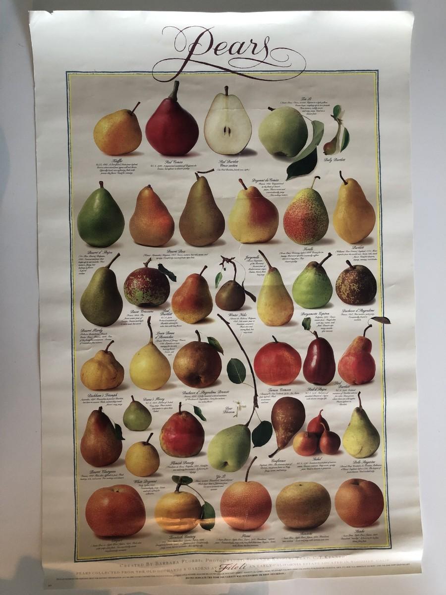 Lithographic Pear Poster | EstateSales.org
