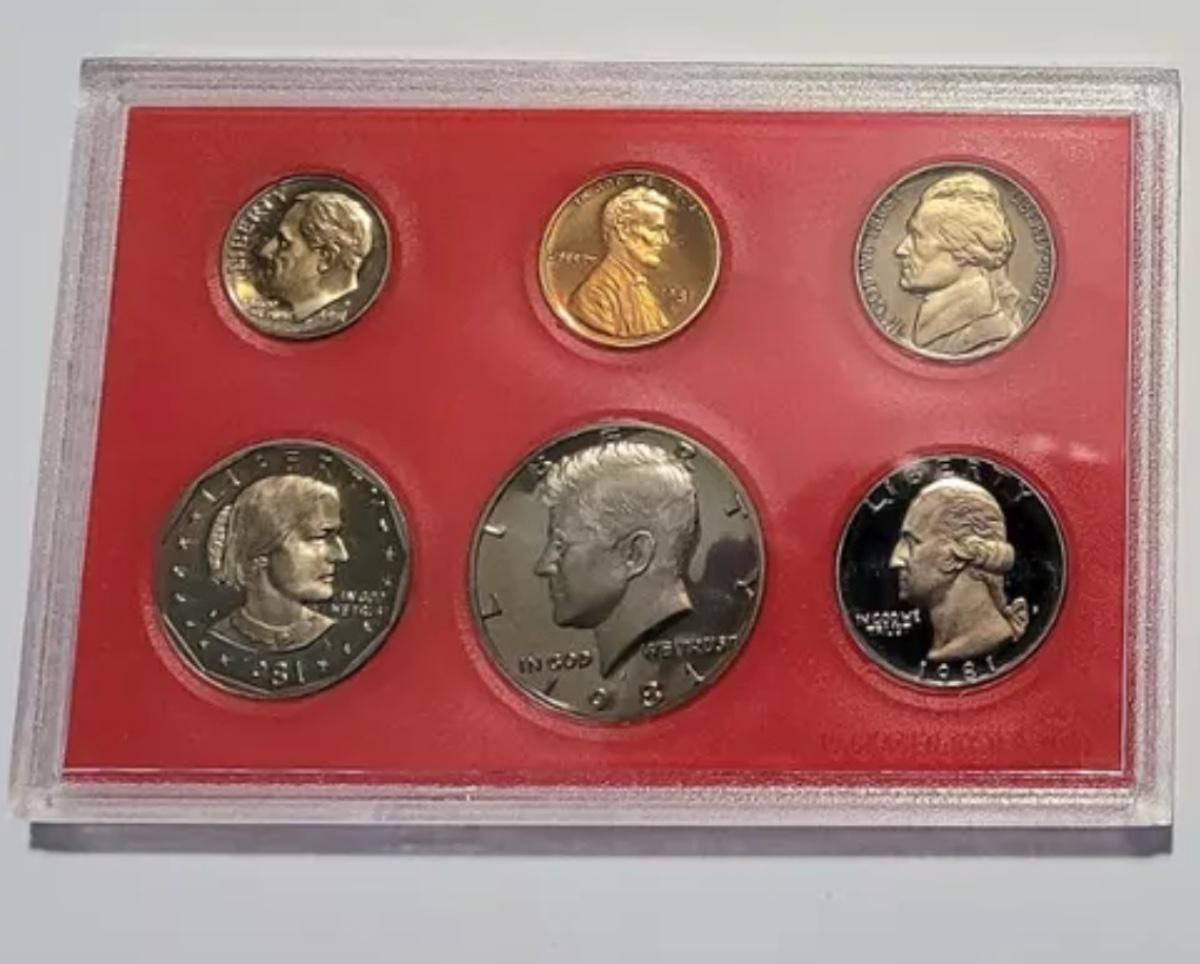 1981 S PROOF TYPE 2 SUSAN B ANTHONY SET! ALL COIN'S TYPE 2! TYPE 1 ...