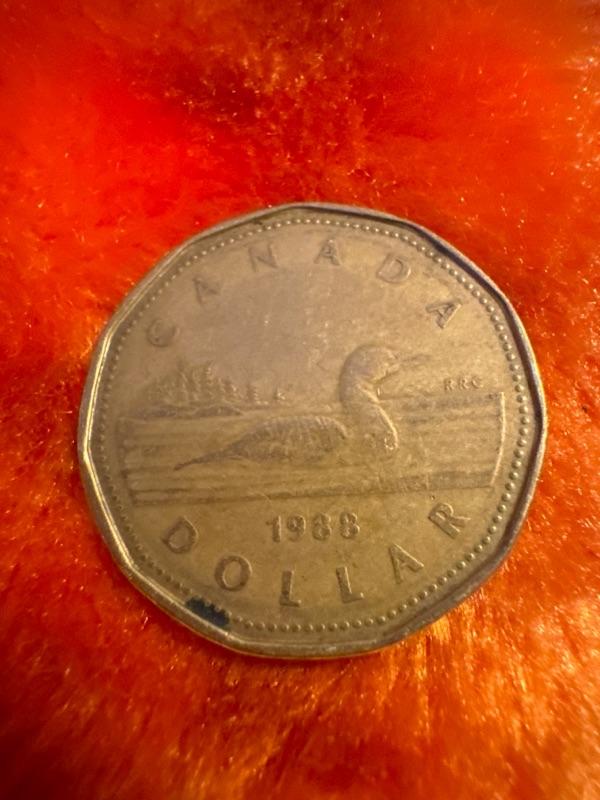 1988 Canadian One Dollar (Loon) Coin | EstateSales.org