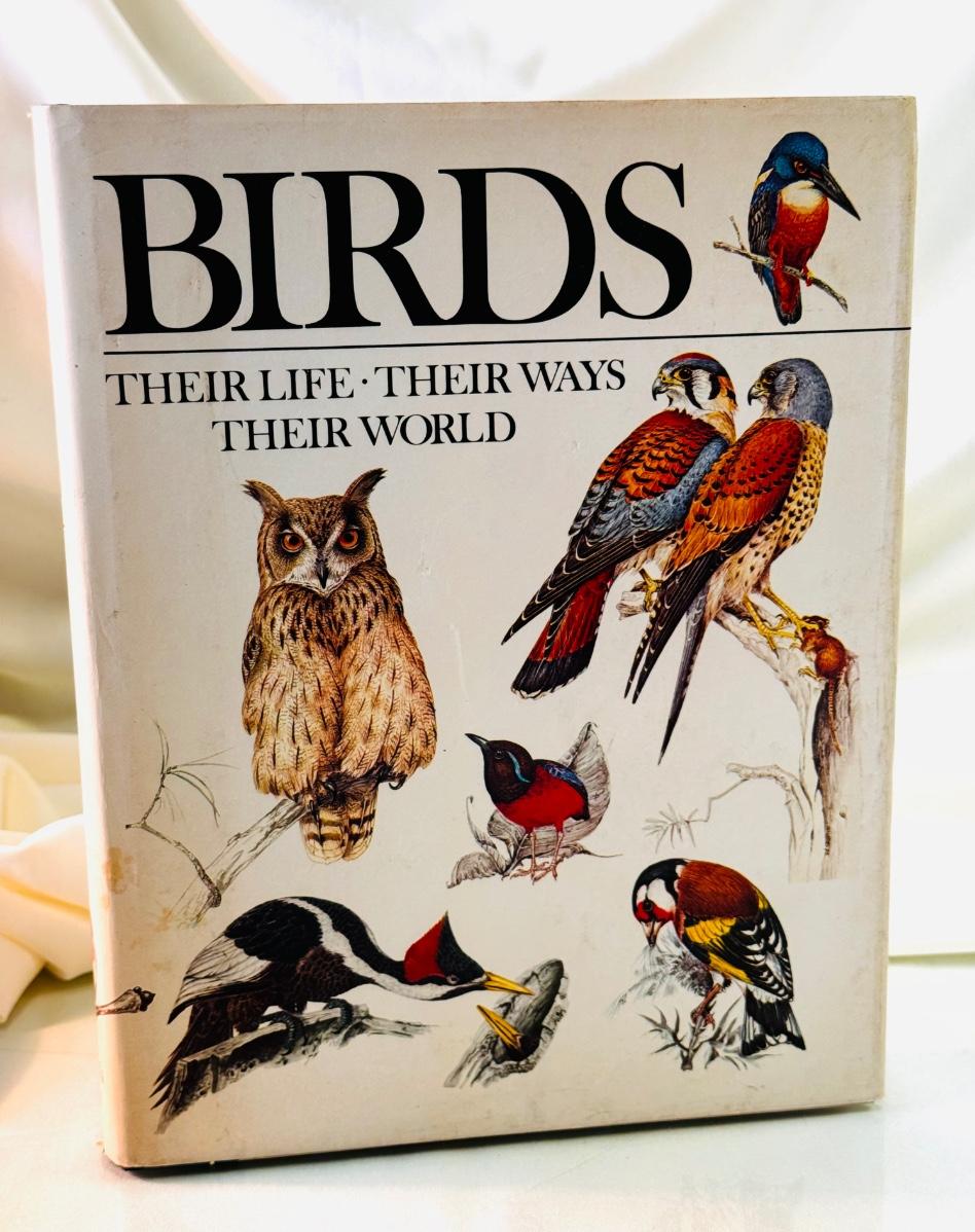 Vintage Bird Book | EstateSales.org