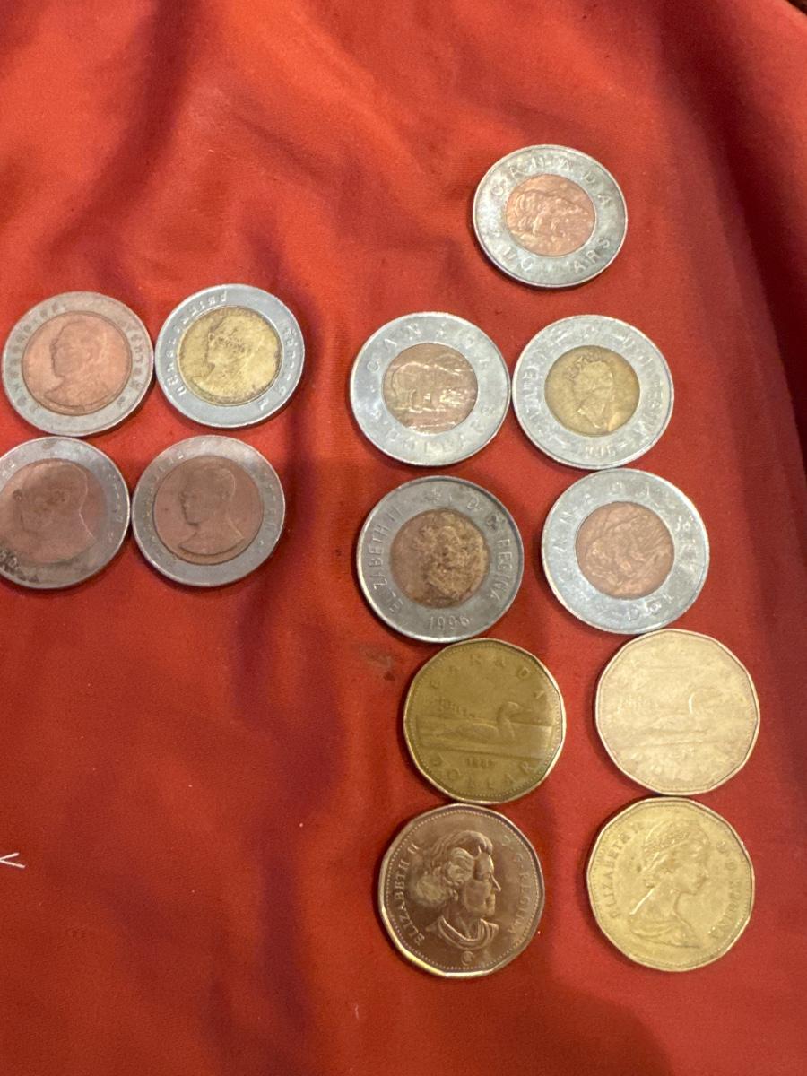 20.00 face value Canada coins | EstateSales.org