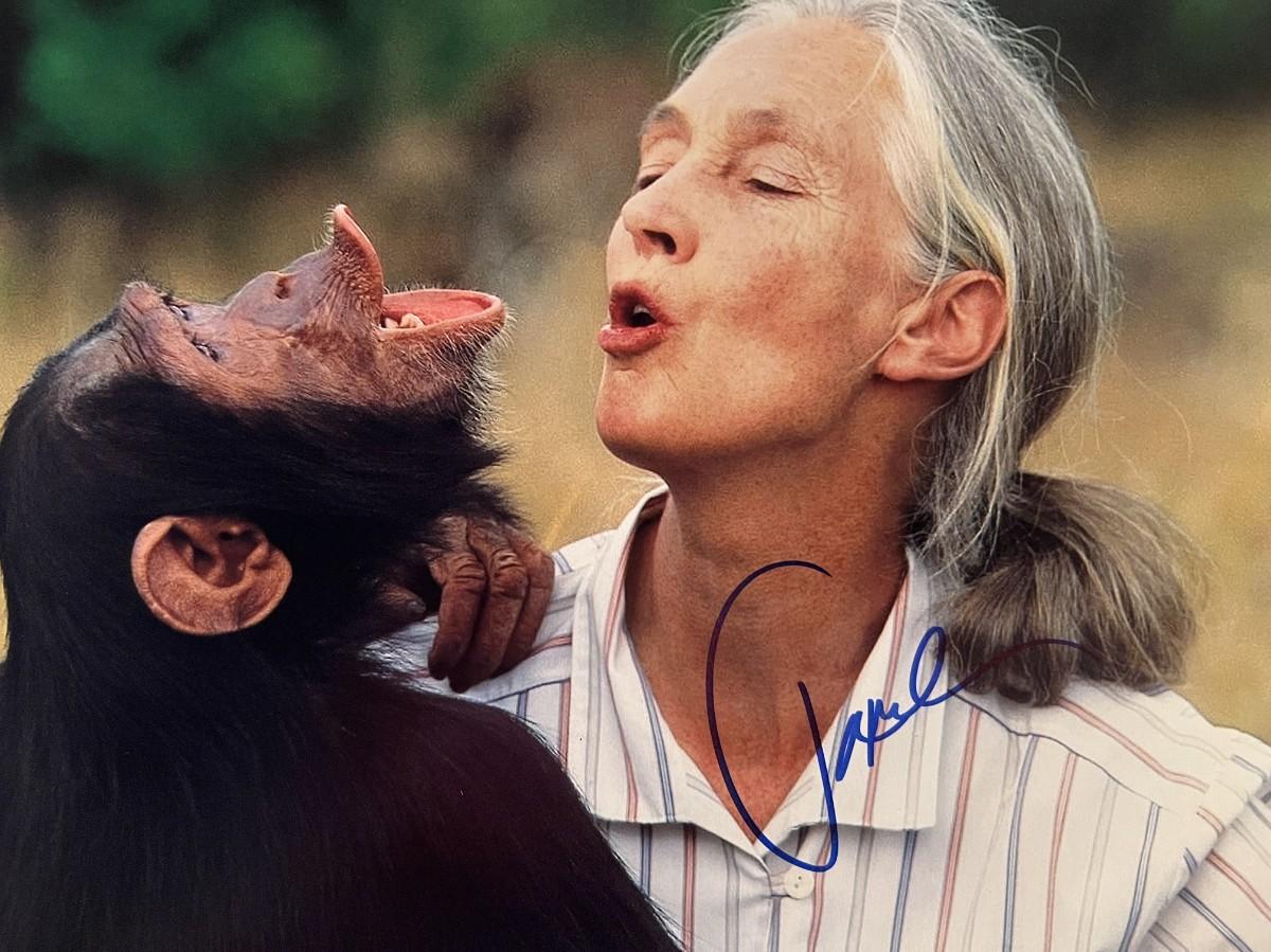 Jane Goodall signed photo | EstateSales.org