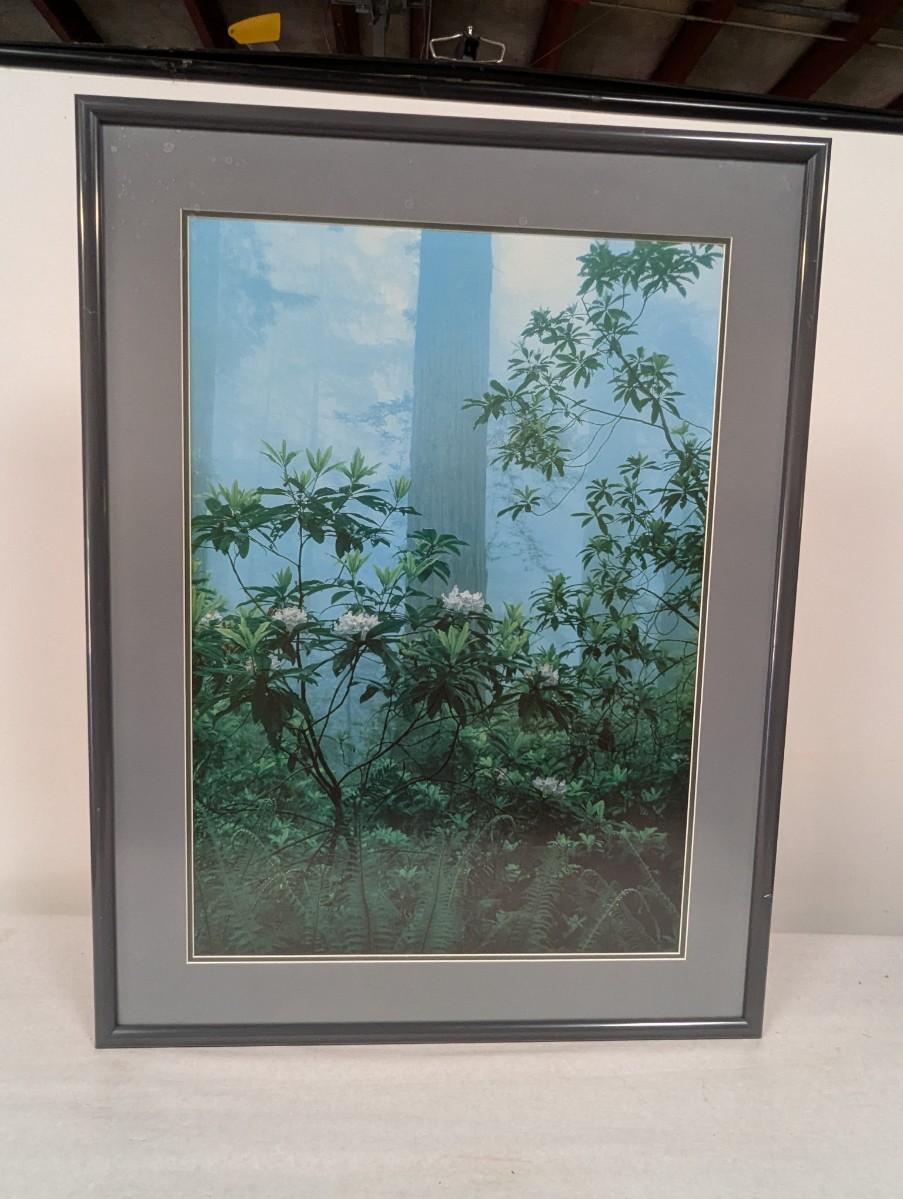 Framed Forest Scenery Art | EstateSales.org