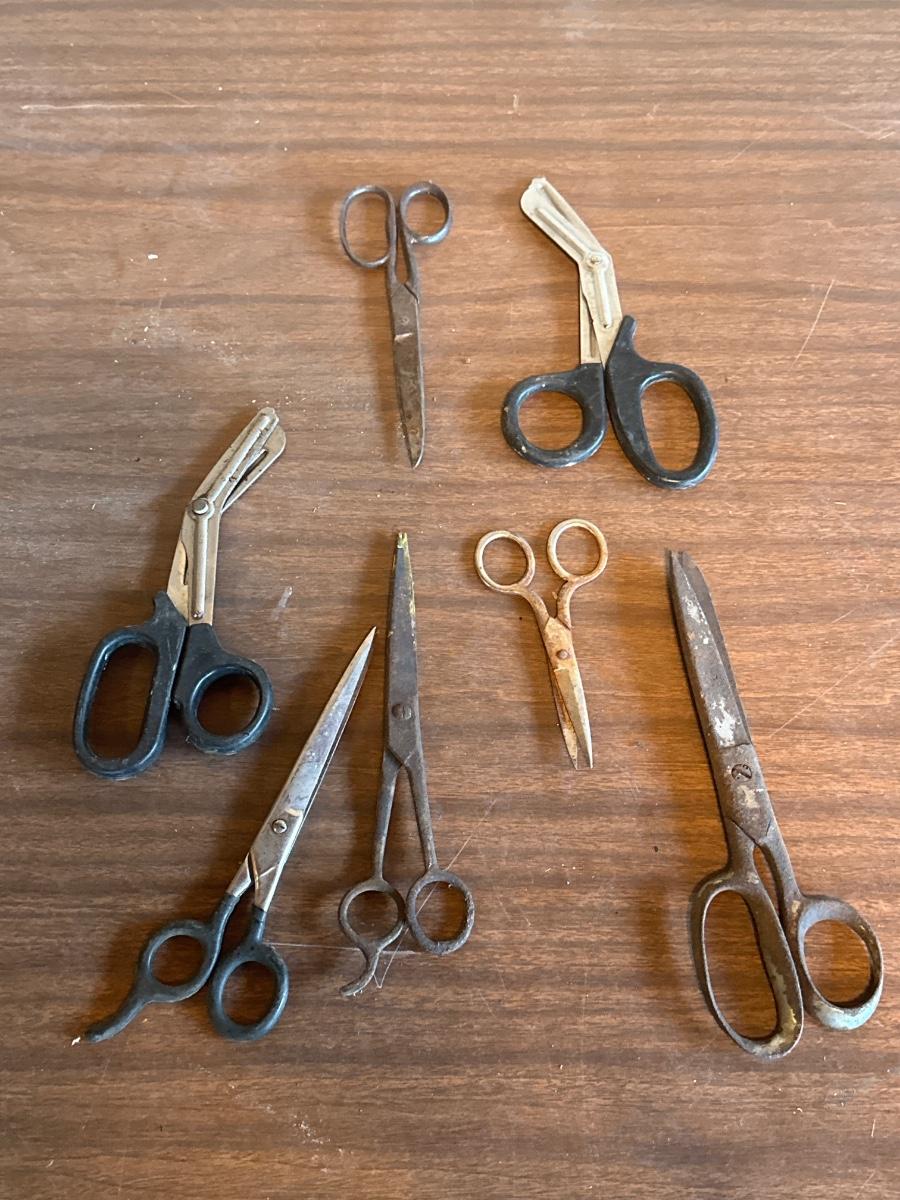 Rusty scissors | EstateSales.org