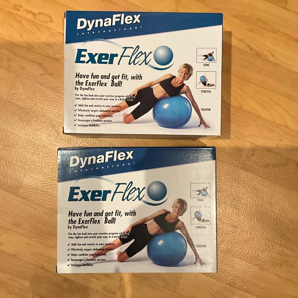 940 Set of 2 DynaFlex Exerflex Yoga Balls | EstateSales.org