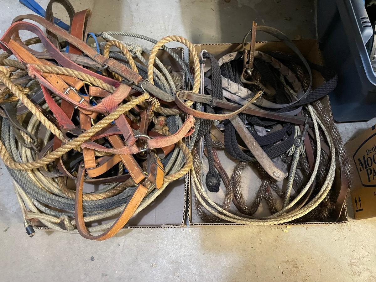 2 Boxes of Horse Tack Reins & Ropes | EstateSales.org