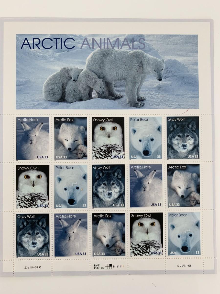 Arctic Animals: Arctic Hare, Arctic Fox, Snowy Owl, Polar Bear, and ...