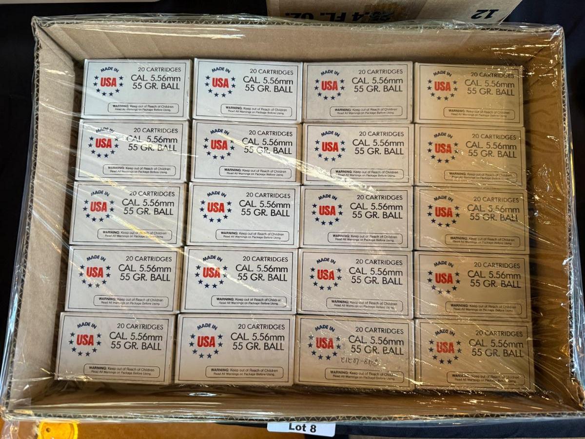20 boxes of 20 rounds 5.56 mm 55 grain ball - 400 total rounds ...