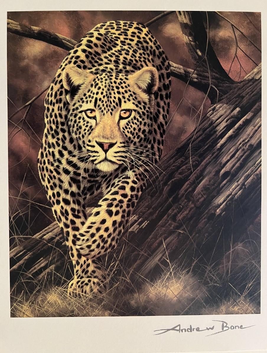 Andrew Bone Silent Stalker art print. 8x7 inches | EstateSales.org