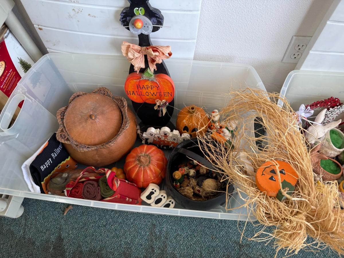 Lot of fall décor | EstateSales.org