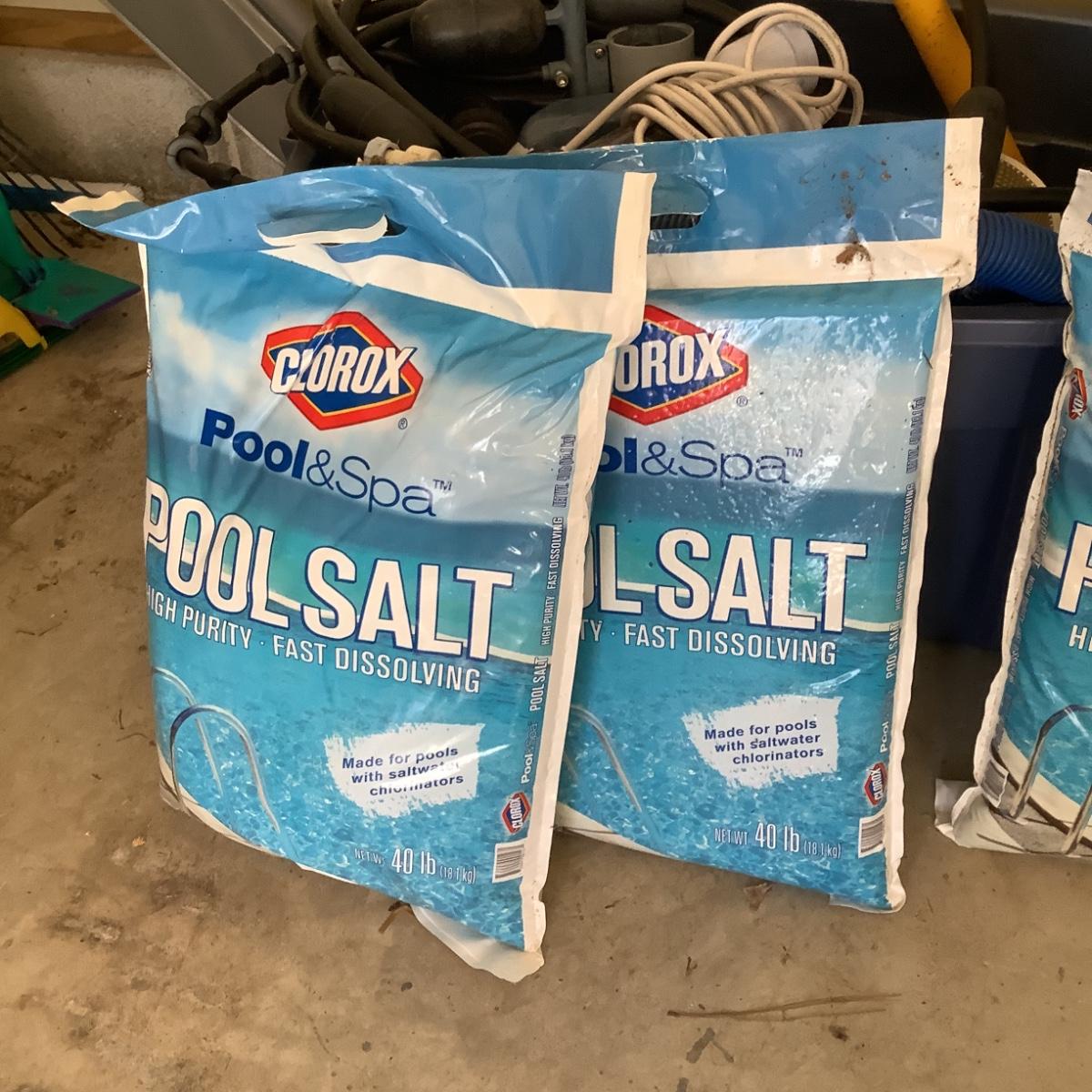 G8128 Two New 40lb Bags of Clorox Pool & Spa Pool Salt | EstateSales.org