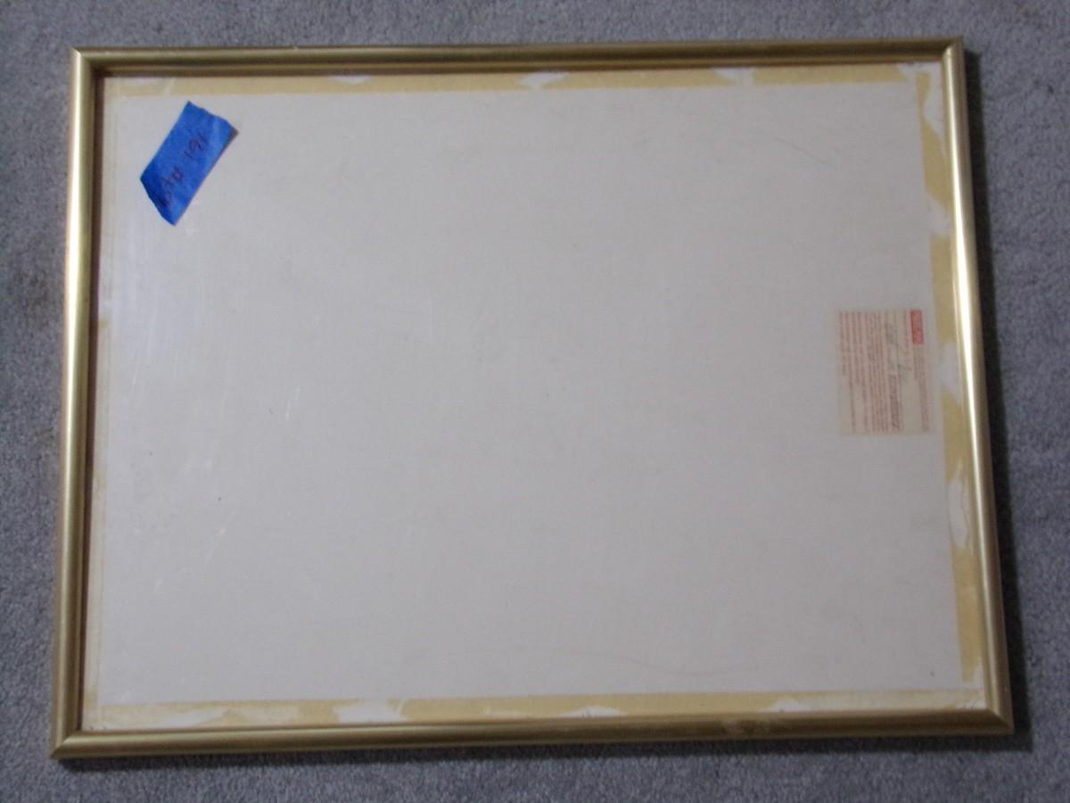 Gold tone frame w/ plexiglass & backer board, about 24"x19" over all ...