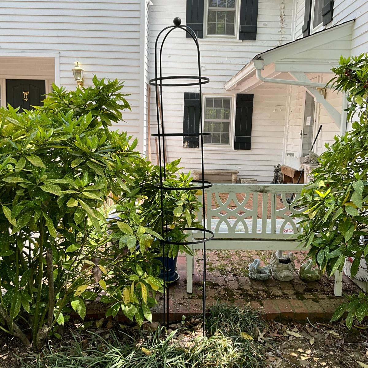 O608 Round Topiary | EstateSales.org