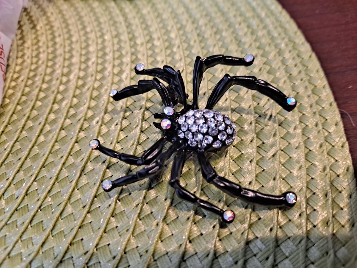 Spider Brooch | EstateSales.org