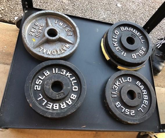 7 - 25 lbs plate Weights | EstateSales.org