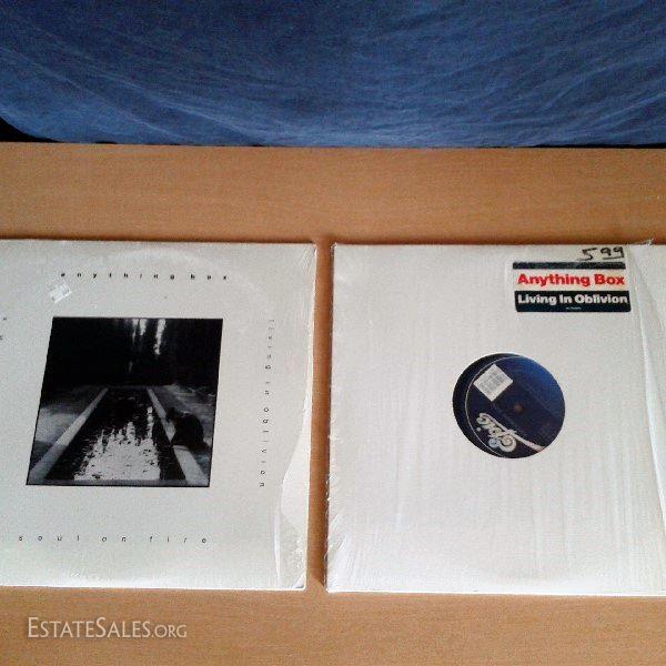 LOT 17 - ANYTHING BOX ALBUM COLLECTION | EstateSales.org