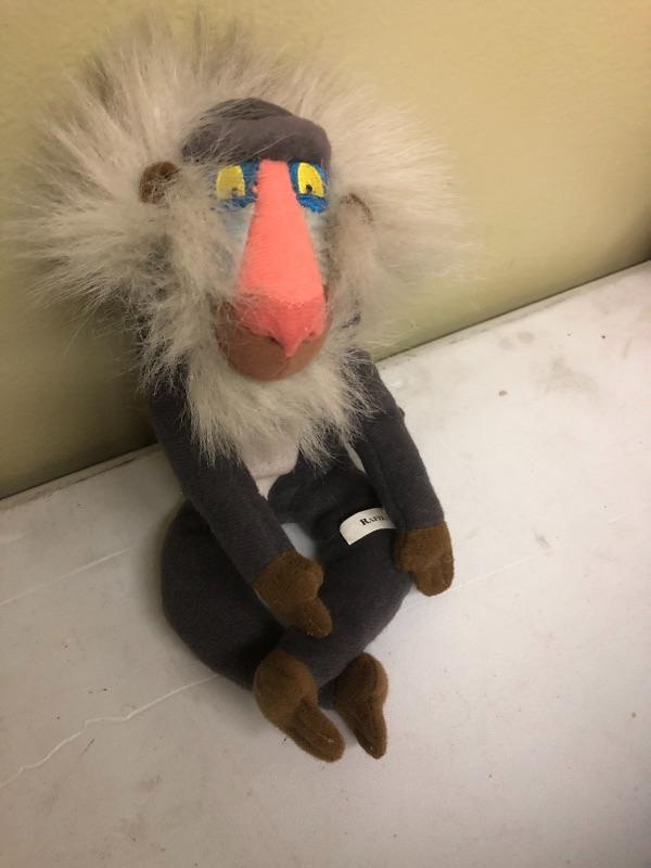 Rafiki | EstateSales.org