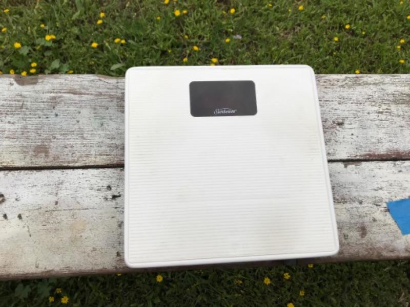Sunbeam Digital Scale, works, gently used | EstateSales.org