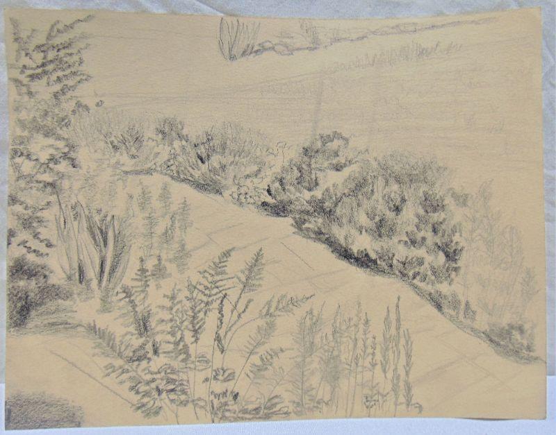 Pencil drawing of path by Alison Webb | EstateSales.org