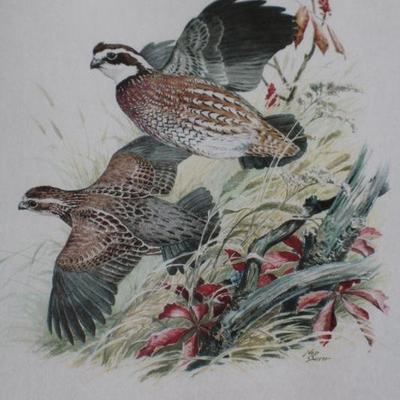 Lot #119: Vintage 1970's (3) Original NED SMITH Bird Art Prints ...