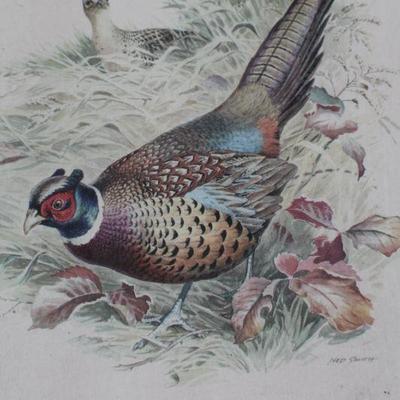 Lot #119: Vintage 1970's (3) Original NED SMITH Bird Art Prints ...