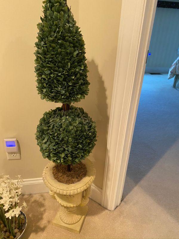 Topiary | EstateSales.org