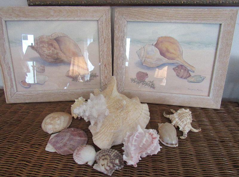 Lot 54 - Two Barbara Fleri Framed Signed Watercolor Seashell Prints and ...