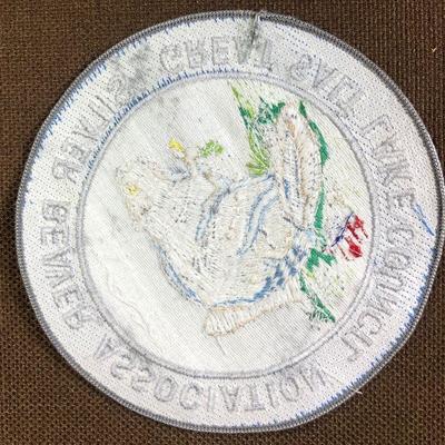 #349 PATCH Silver Beaver Association Patch | EstateSales.org