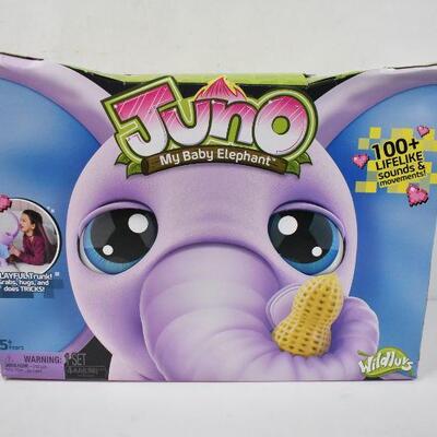 Juno My Baby Elephant, Interactive Moving Trunk, Sounds and Movements ...