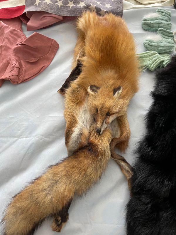 Red Fox Stole / full pelt | EstateSales.org