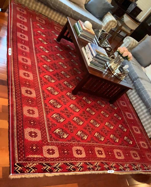Large Bukhara Persian Rug | EstateSales.org