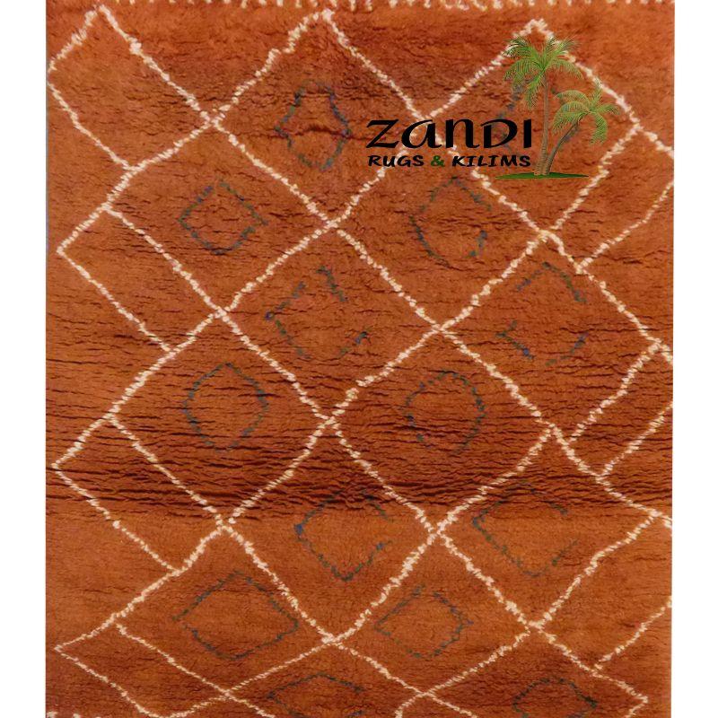 Indian Shaggy wool/cotton rug 4'1"Â x 5'11"Â Retail $3321 | EstateSales.org