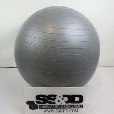Gray Exercise Ball | EstateSales.org