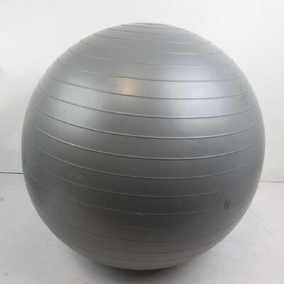 Gray Exercise Ball | EstateSales.org