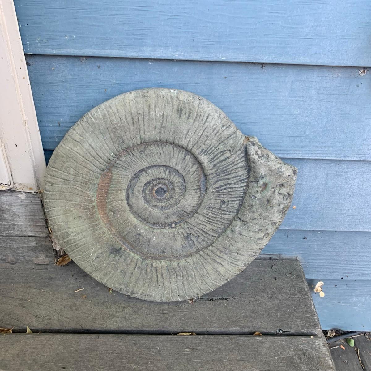 #164 Shell Patio Decor | EstateSales.org