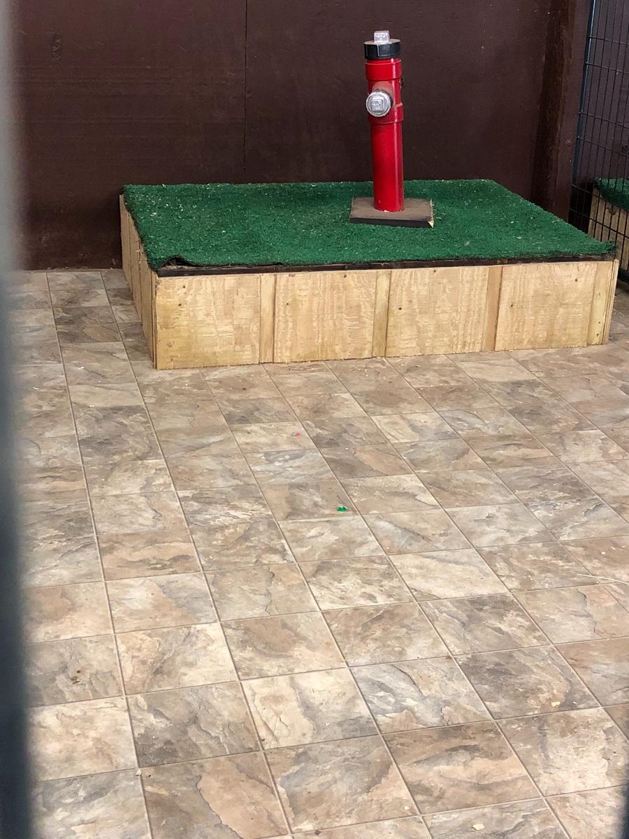 Outdoor dog potty training station | EstateSales.org