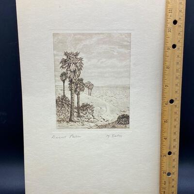 Vintage Unframed Etching by William A Eskey Desert Palm | EstateSales.org
