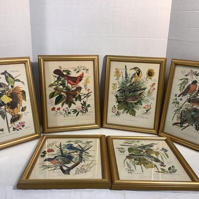 A222 Set of Arthur Singer Bird Prints | EstateSales.org