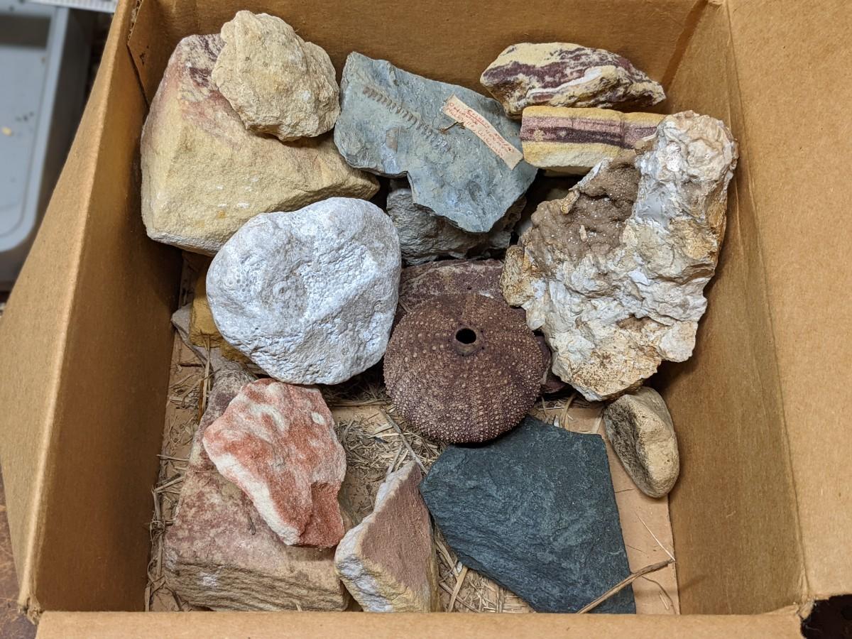 Box of Fossils, Sea shells, Geo Rocks | EstateSales.org