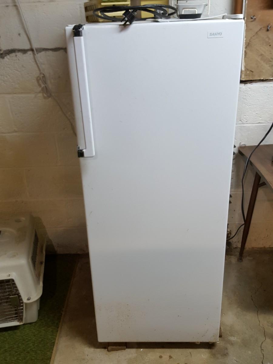 Sanyo Small upright Refrigerator w freezer 21x26x54 | EstateSales.org
