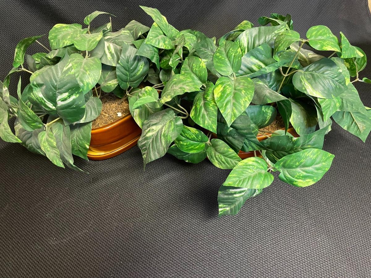 2 faux plants | EstateSales.org