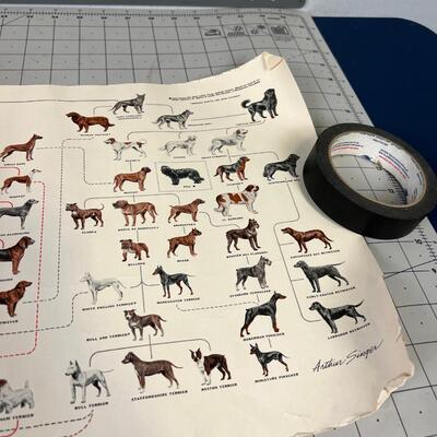 Genealogy of Dogs, Chart | EstateSales.org