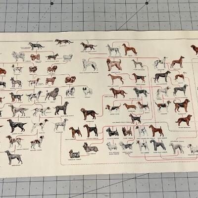 Genealogy of Dogs, Chart | EstateSales.org