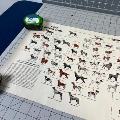 Genealogy of Dogs, Chart | EstateSales.org